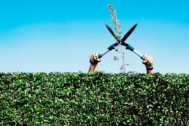 Short Hedges: Strategies, Examples, and Industry Applications - SuperMoney