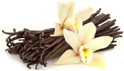 Vanilla Options: Definition, Uses and Examples - SuperMoney