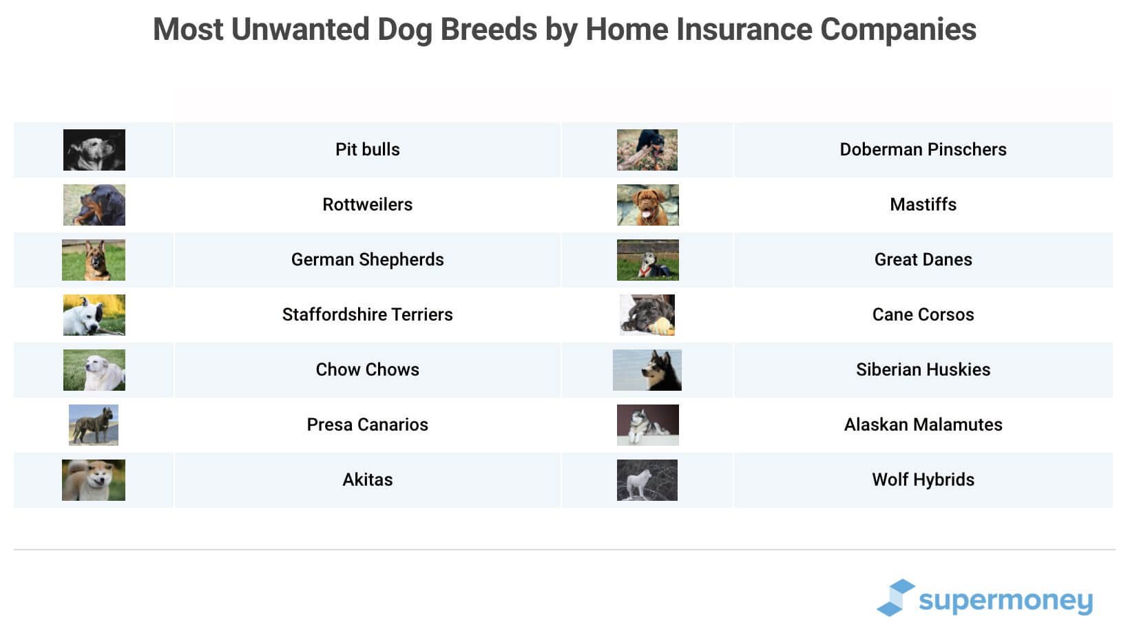 How to Find Renters and Home Insurance That Covers Dogs - SuperMoney