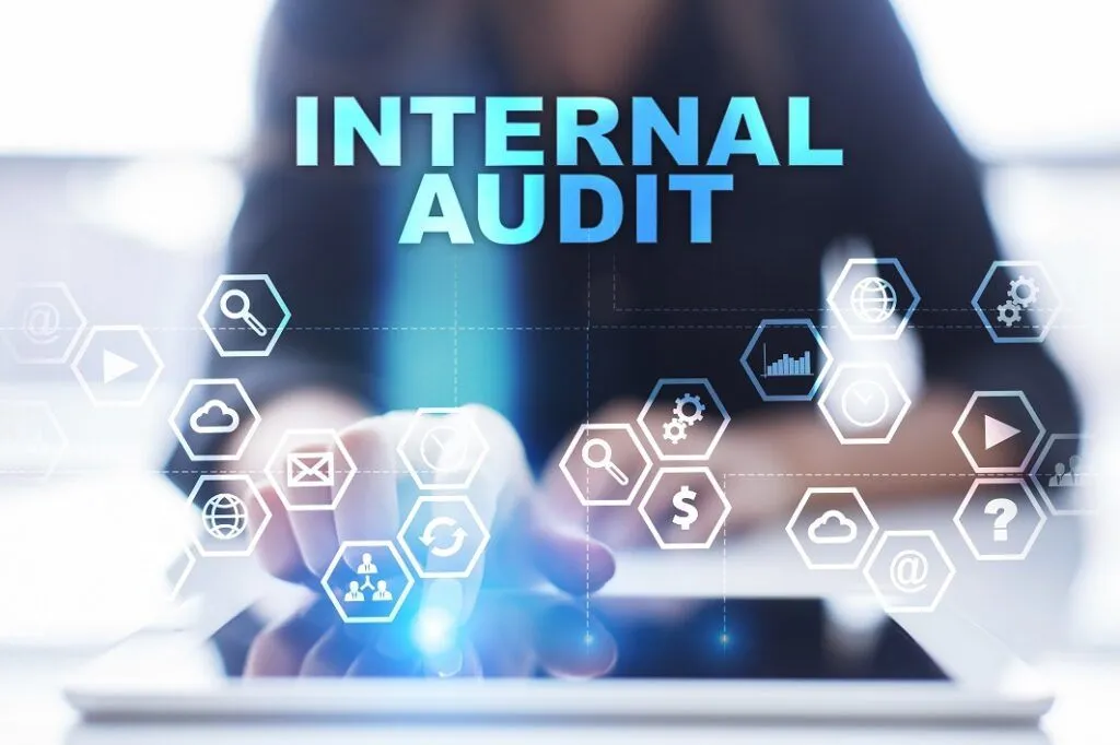 Understanding Internal Audit: Types, Process, And Importance - SuperMoney