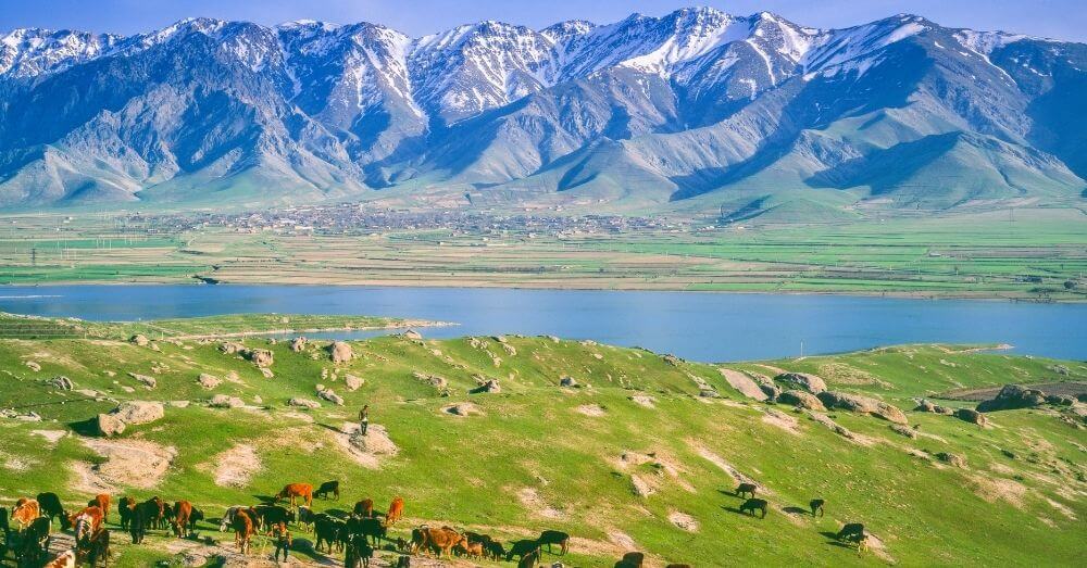 Common Resources: Definition, Examples & Sustainable Management ...