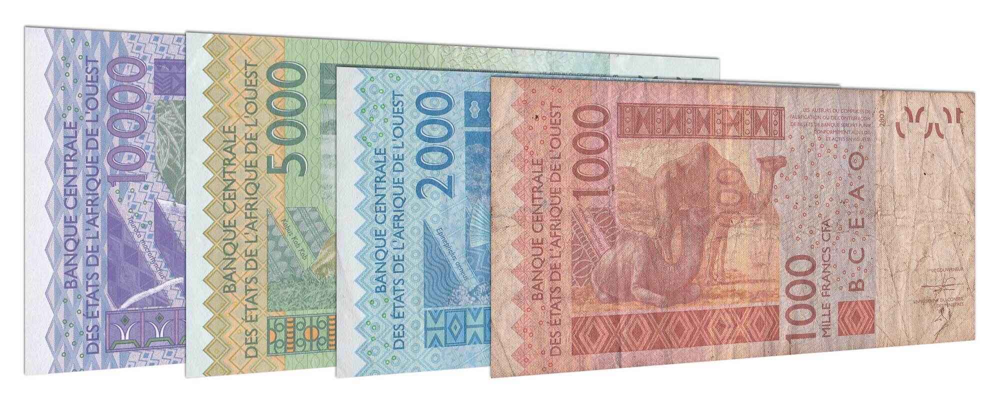Comorian Franc: Definition, Pegging, and Economic Impact - SuperMoney
